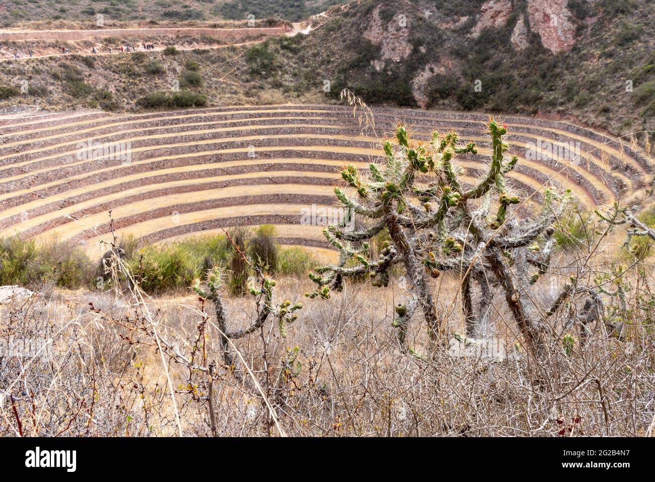 Agricultural terraces overlooking valley hi-res stock photography and ...