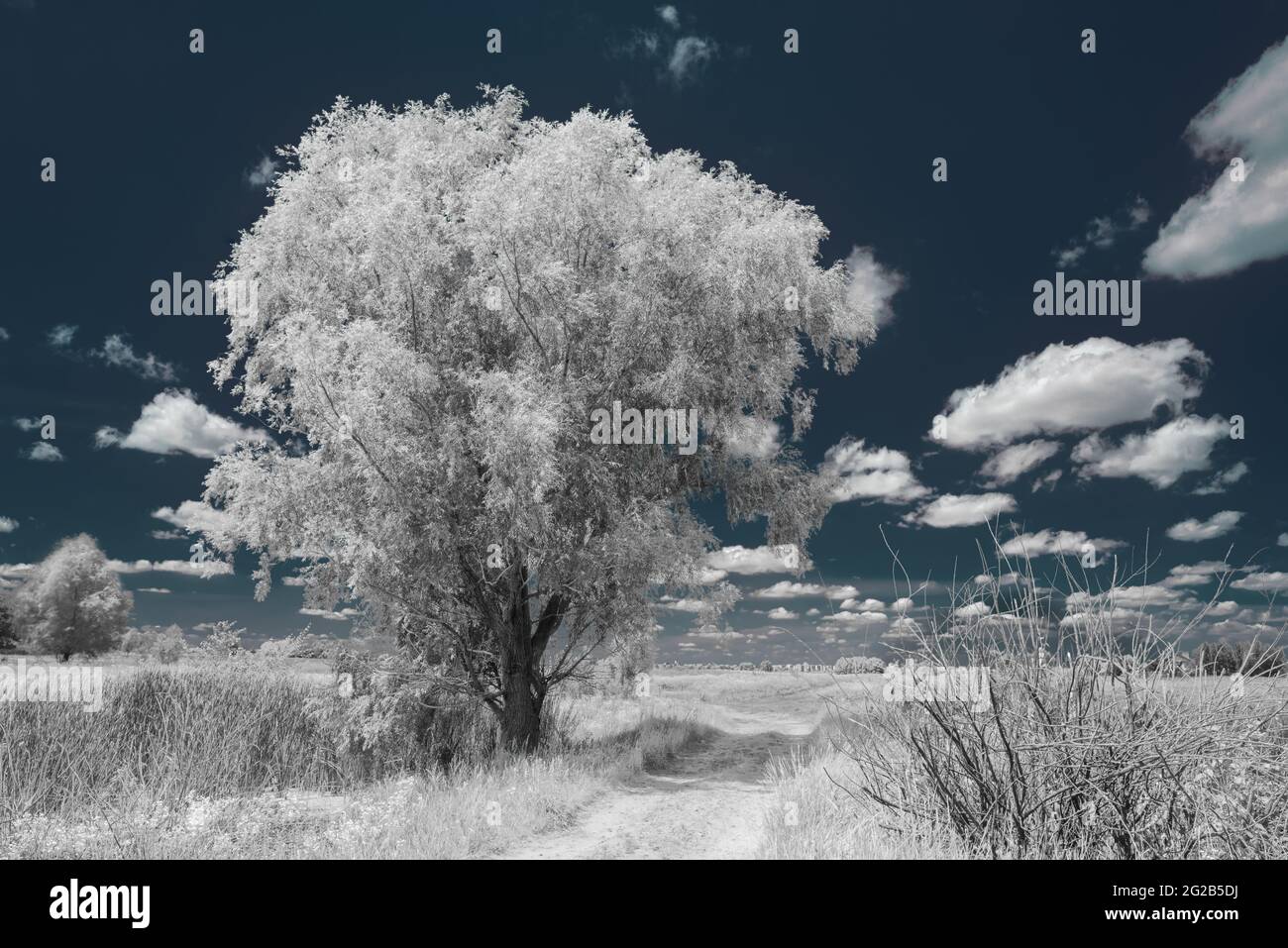 Near infrared photography of beautiful rural landscape and clouds in ...