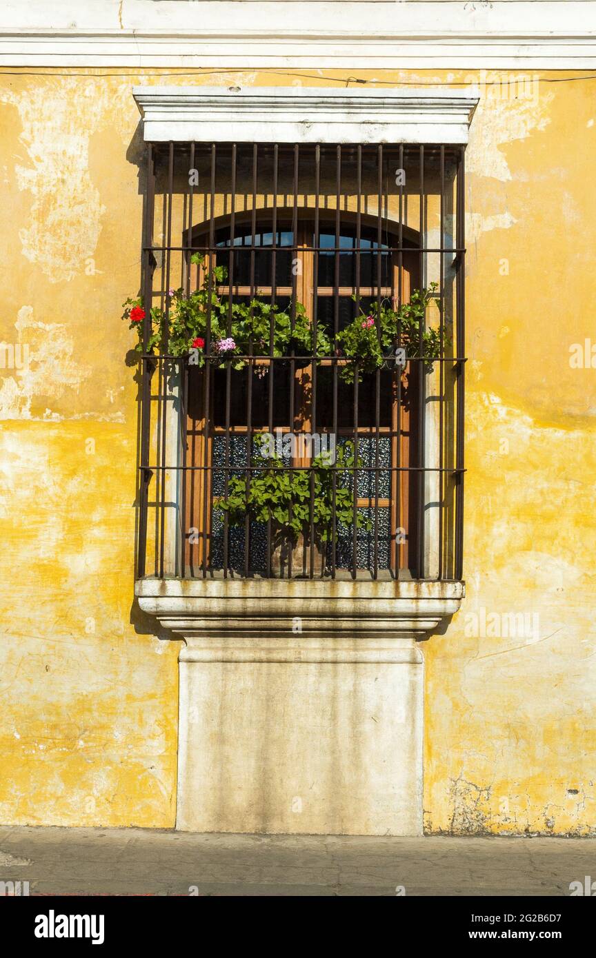 Architectural detail of colonial house in La Antigua Guatemala, window ...