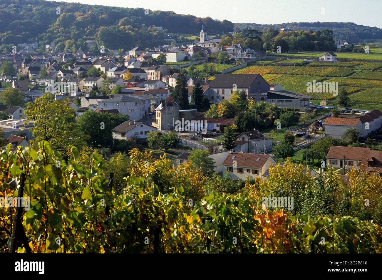FRANCE. FRANCE. MARNE (51) MONTAGNE-DE-REIMS NATURE PARK. VILLAGE OF ...