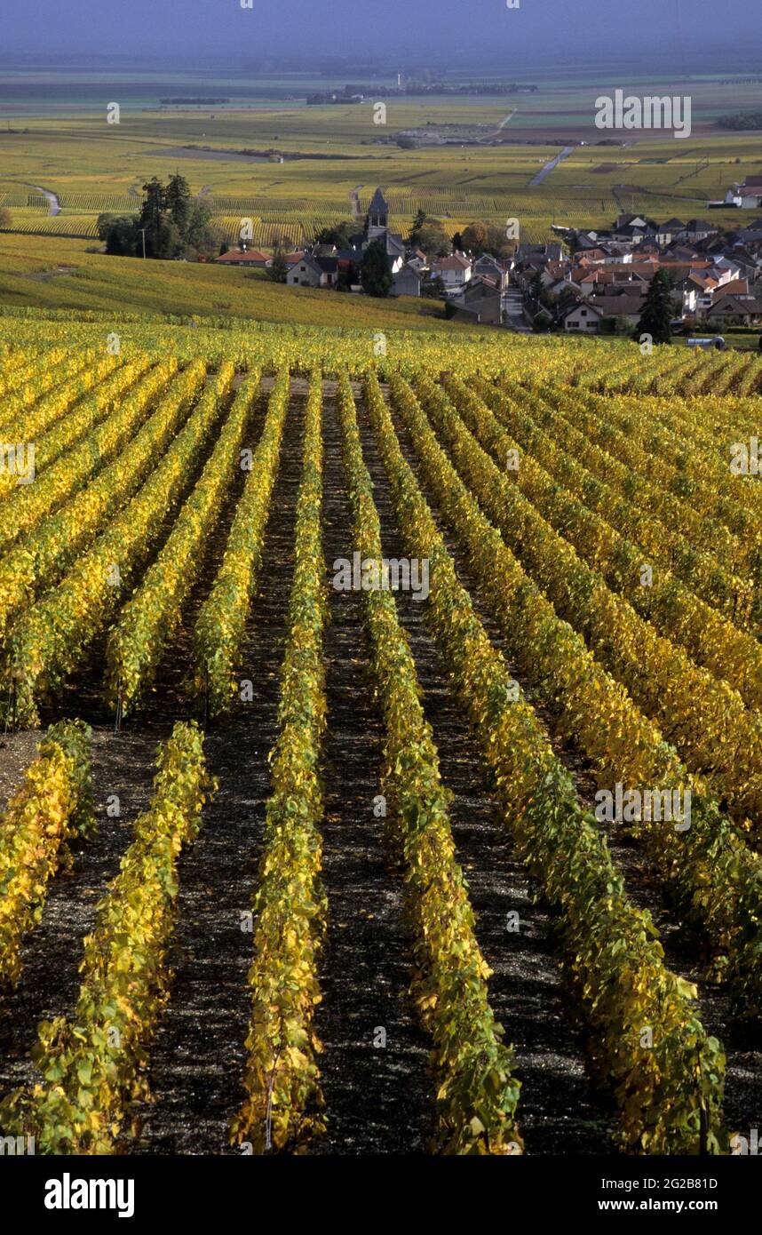 France marne 51 oger village hi-res stock photography and images - Alamy