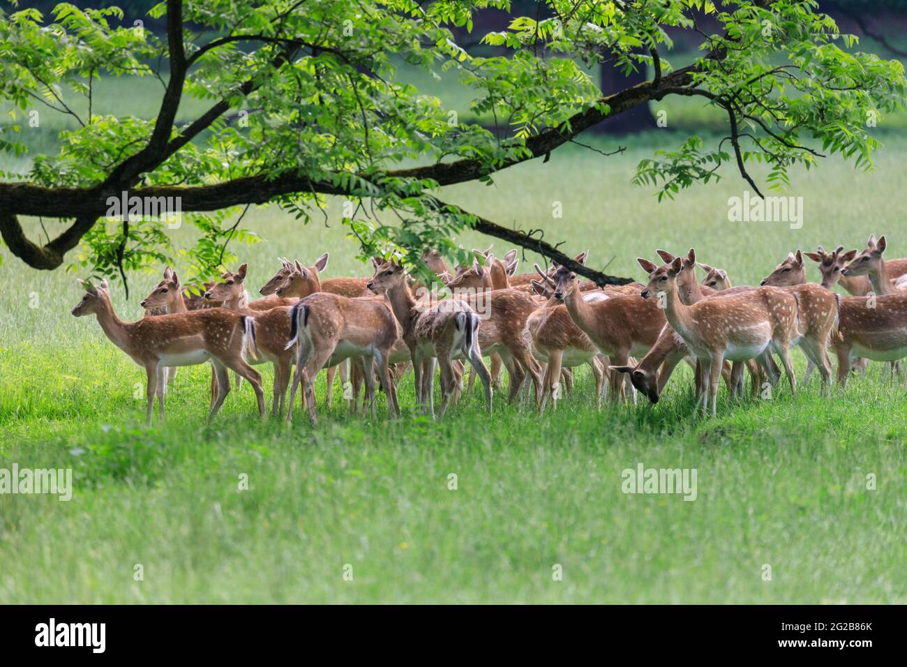 Relaxed environment hi-res stock photography and images - Alamy