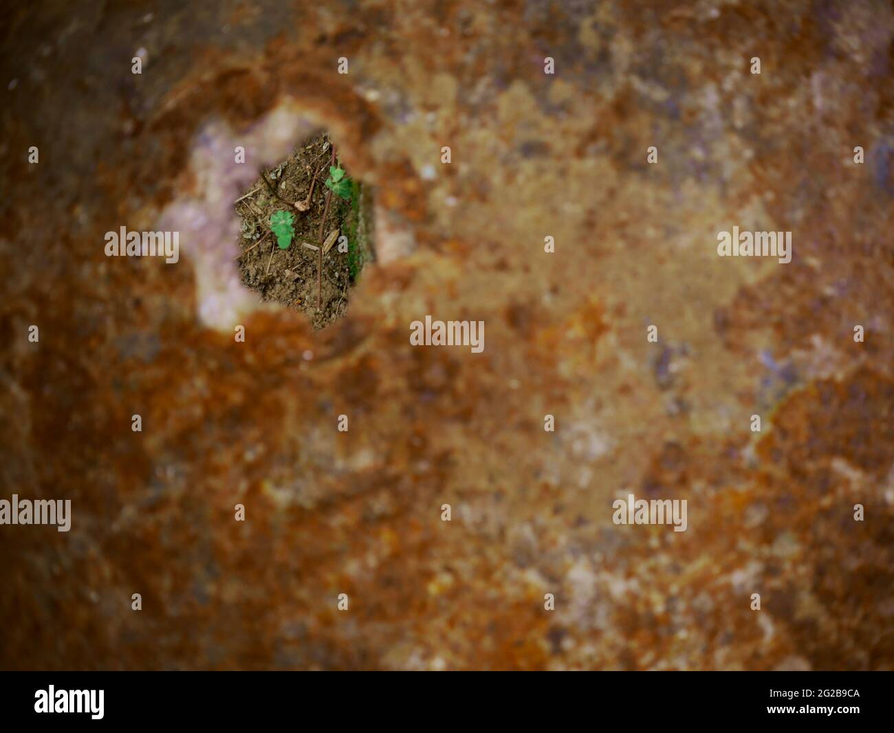 Junk iron on blur texture frame with hole in the earth plant ...