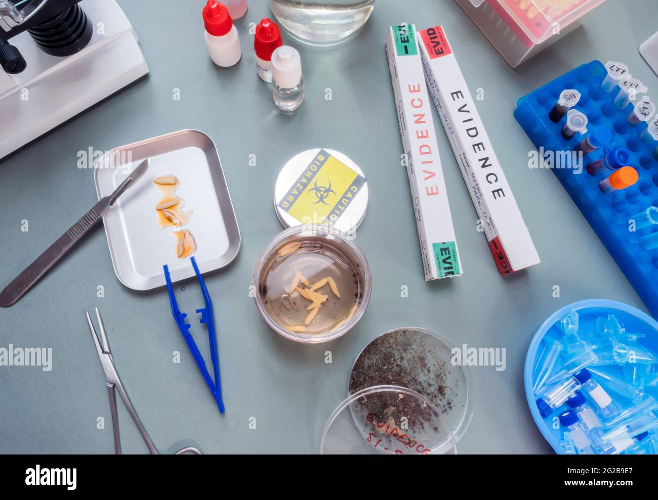 Crime Scene Forensic Scientists High Resolution Stock Photography and ...