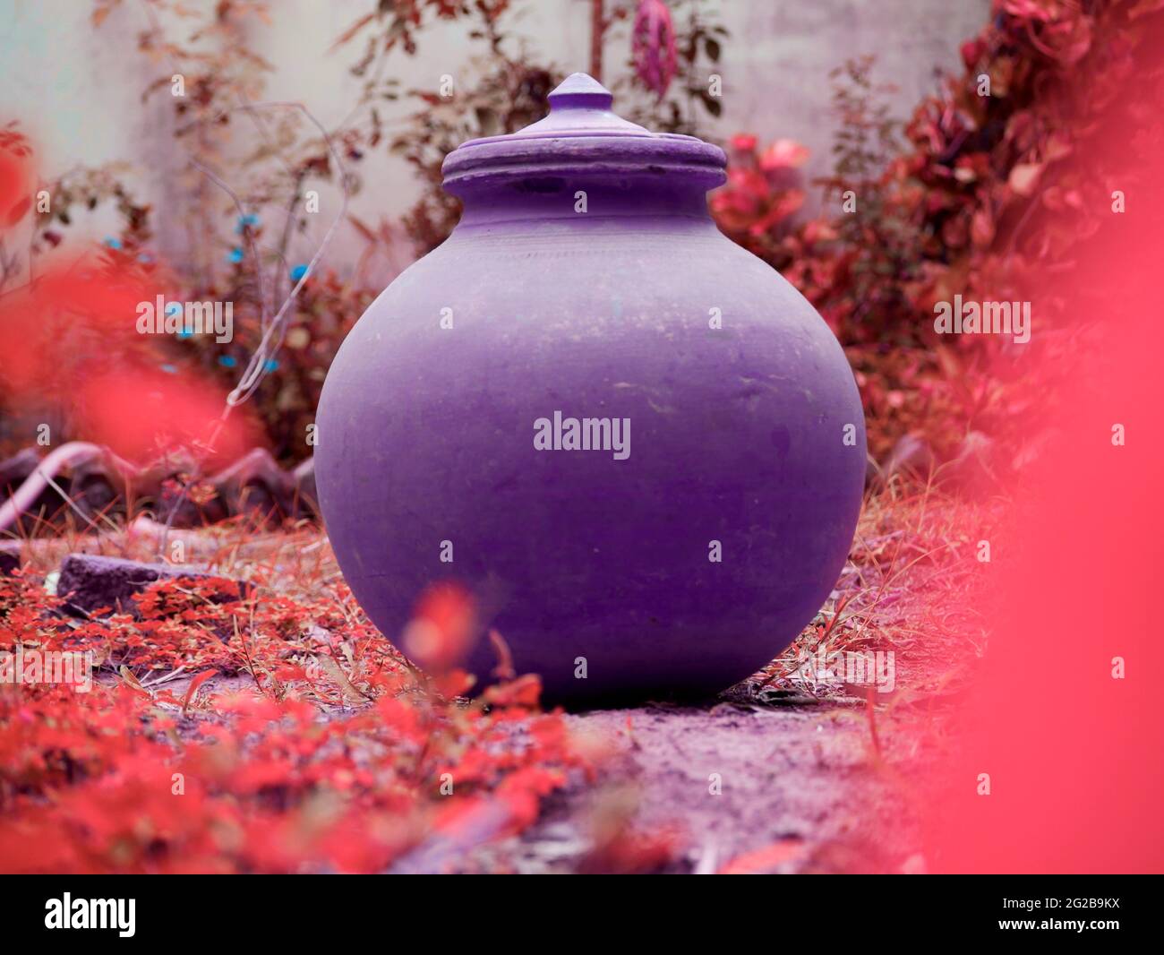 Purple color soil indian style soil pot presented on garden background ...