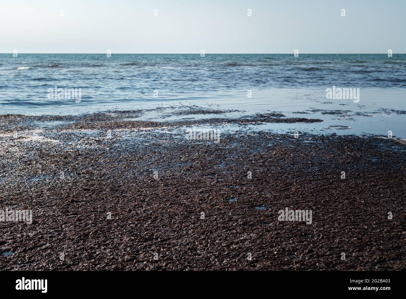 Dark smelly waste on the water surface. Ocean pollution, environmental ...