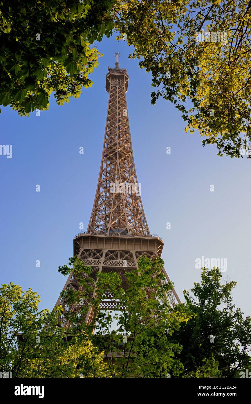 Capital feuillage hi-res stock photography and images - Alamy