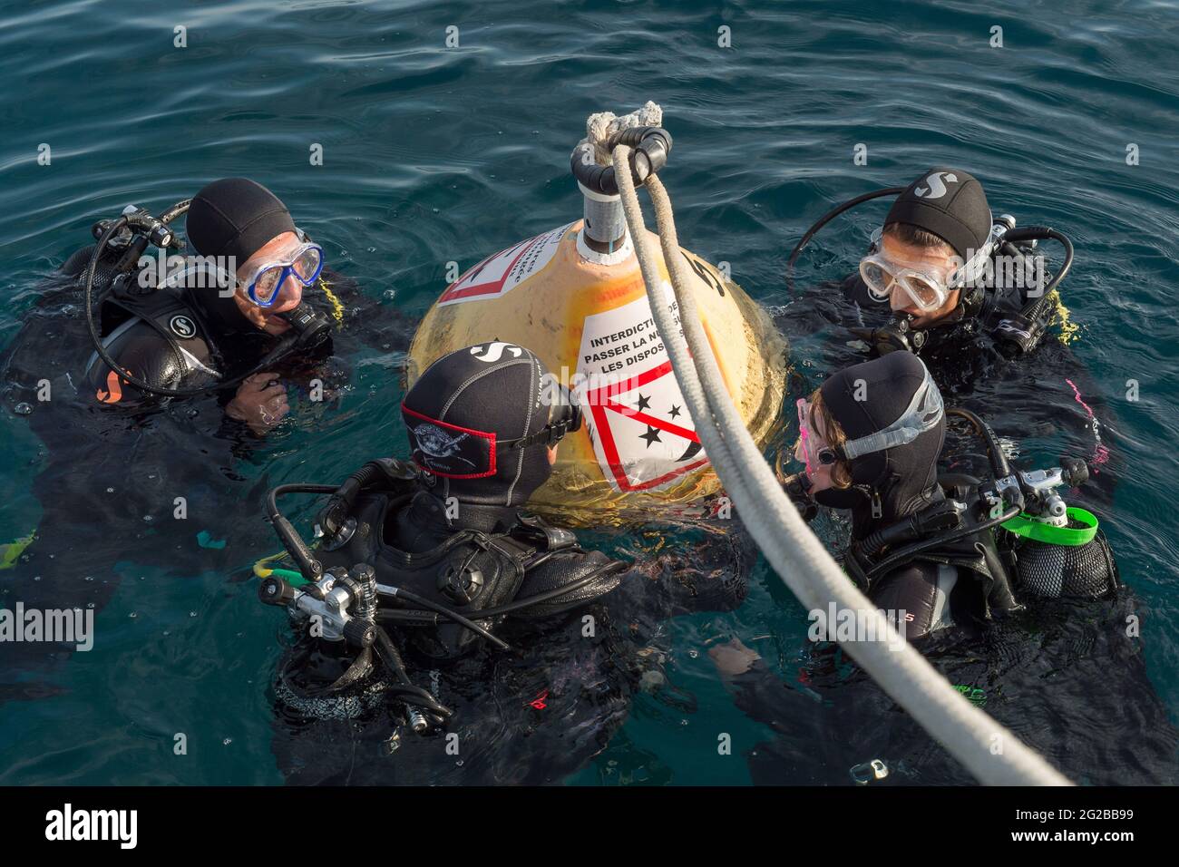 Skin diver diving hi-res stock photography and images - Alamy