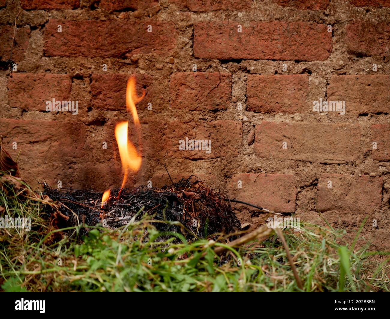 Burning fire around green grass field with wall texture background ...