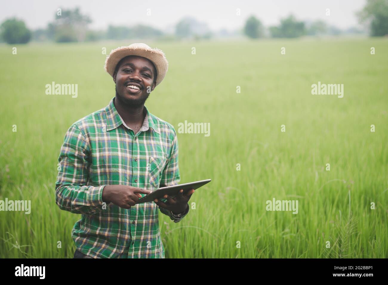 Rice cultivation african hi-res stock photography and images - Alamy