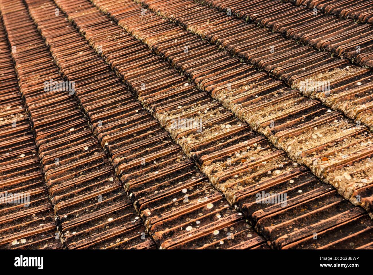Old orange tiles covered with green moss. Rusted red brick roof ...