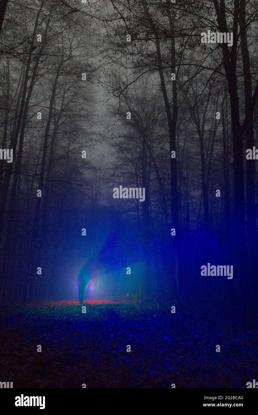 Mysterious dark forest at night with fog and moonlight hi-res stock ...