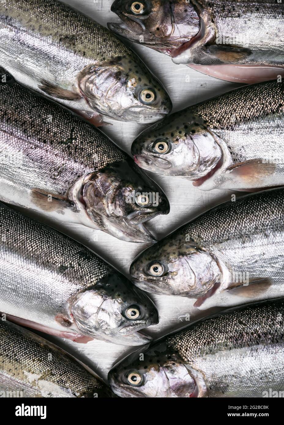 Rainbow trout fish hi-res stock photography and images - Alamy