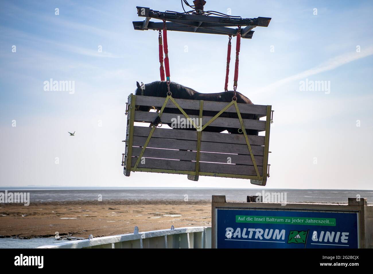 Baltrum i hi-res stock photography and images - Alamy