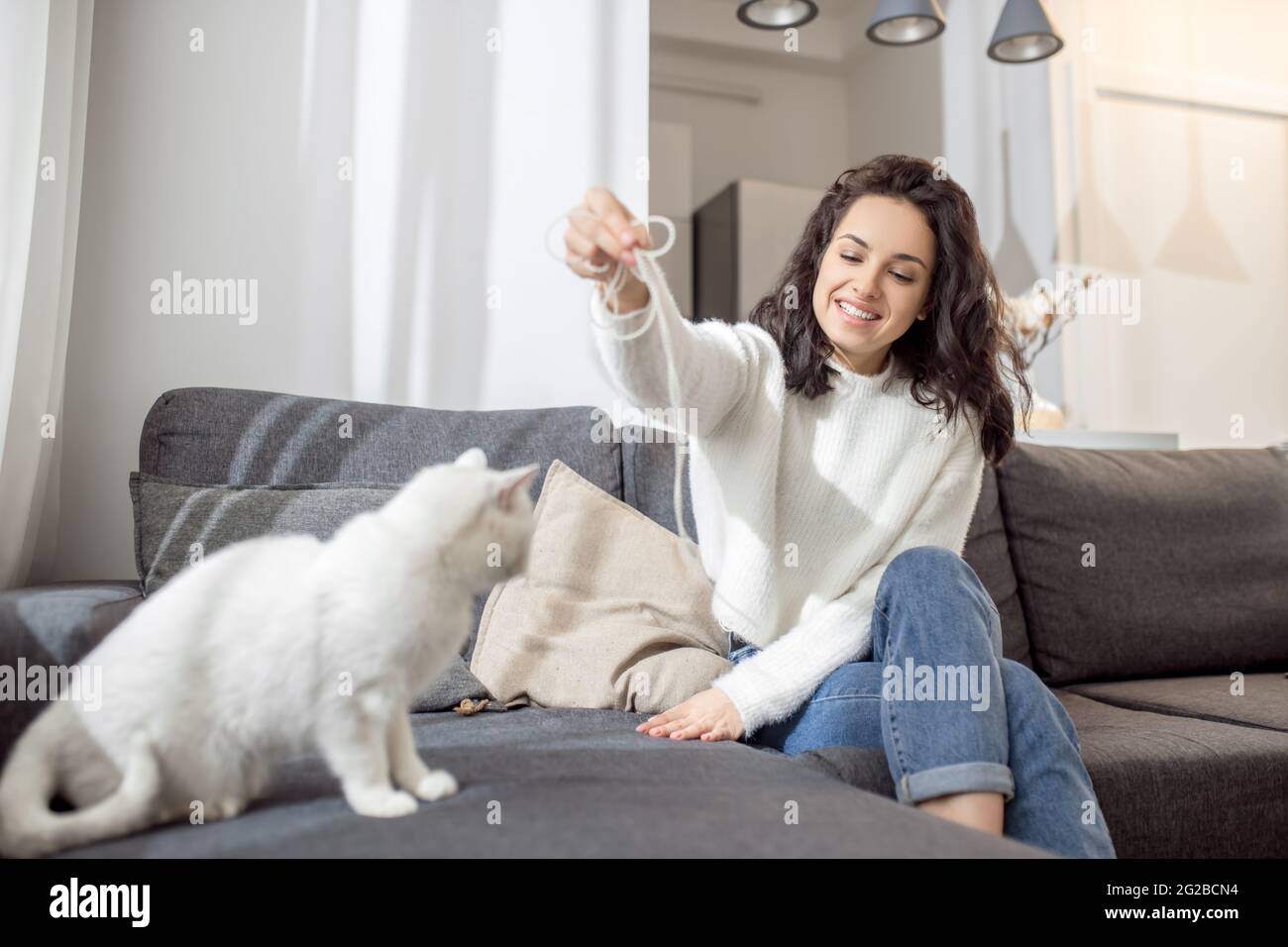 Dark-haired lovely woman playing with her white cat Stock Photo - Alamy