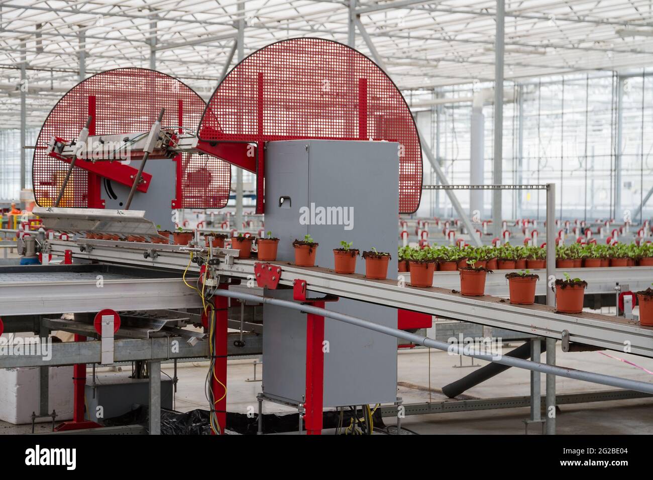 Russia. New Moscow Area. Agricultural holding 'Moskovsky'. Greenhouse ...