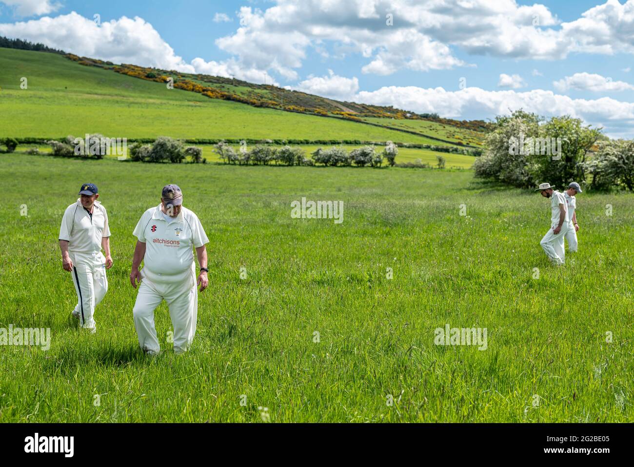 Lost Cricket Ball High Resolution Stock Photography and Images - Alamy