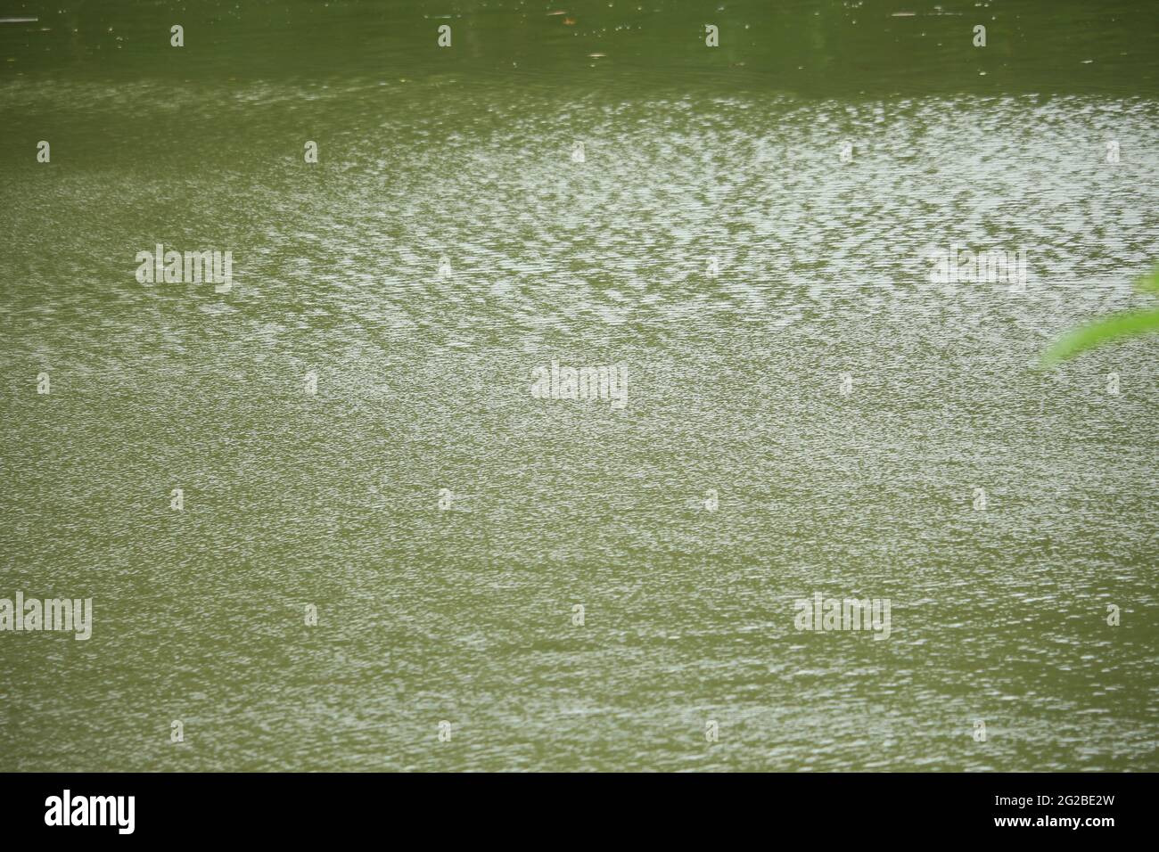 Water falling into pond hi-res stock photography and images - Alamy