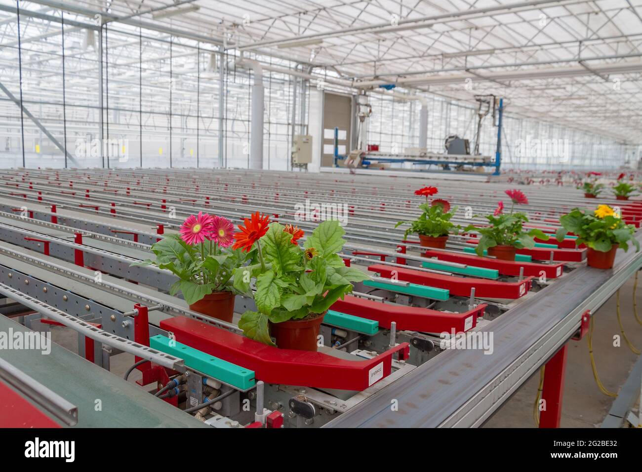 Russia. New Moscow Area. Agricultural holding 'Moskovsky'. Greenhouse ...