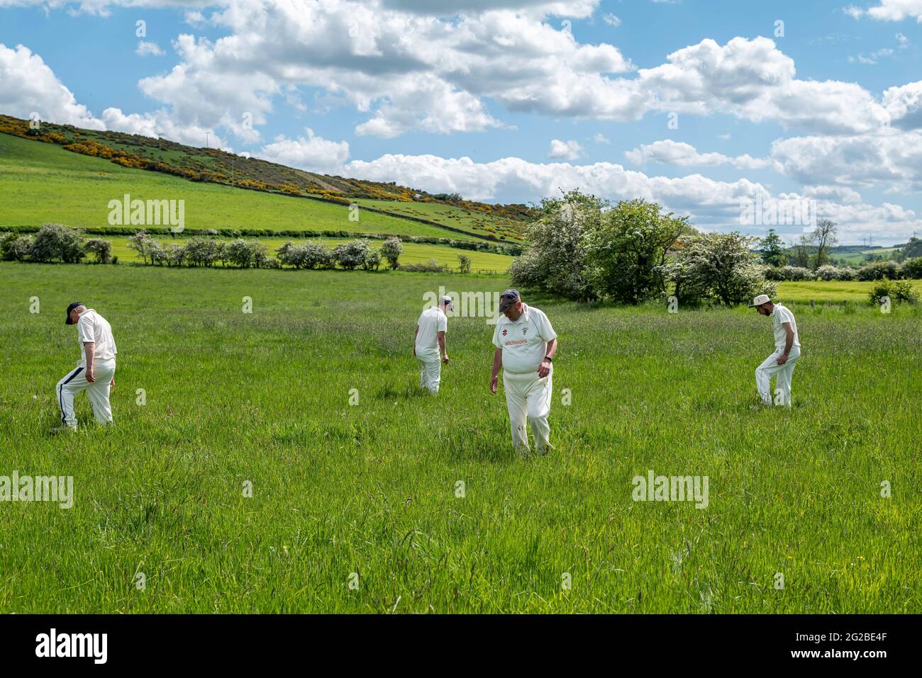 Lost Cricket Ball High Resolution Stock Photography and Images - Alamy