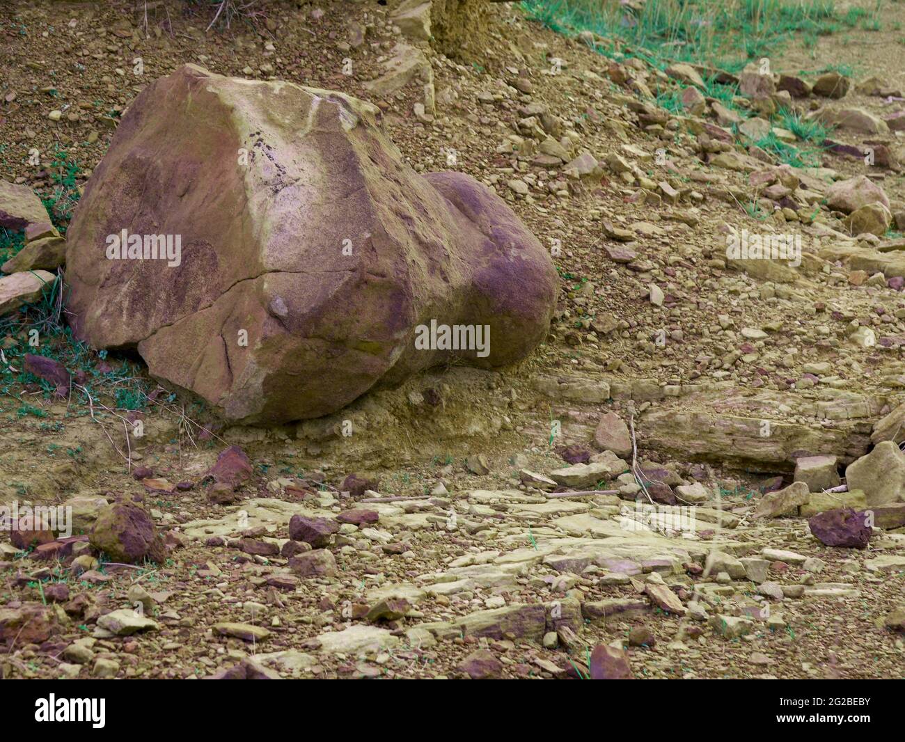 Historical Stone presented with soil field natural land in the forest ...