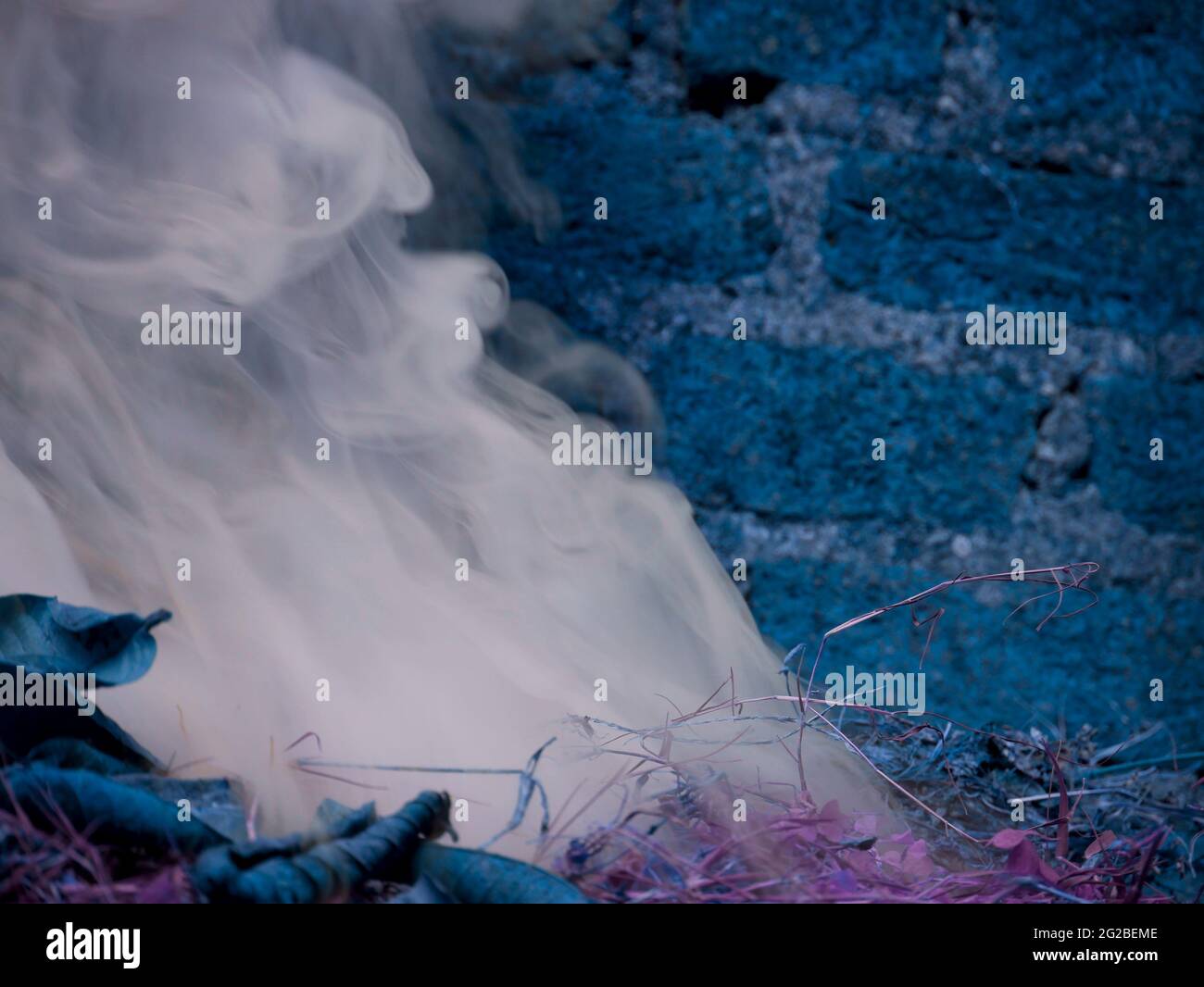 Leaves burning fire fog on the image for natural pollution presentation ...