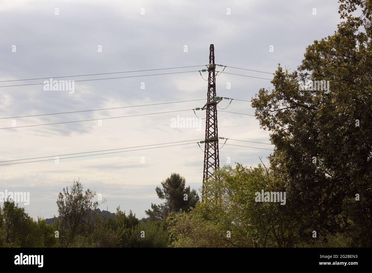 Power distribution pylon system to rural community and countryside ...
