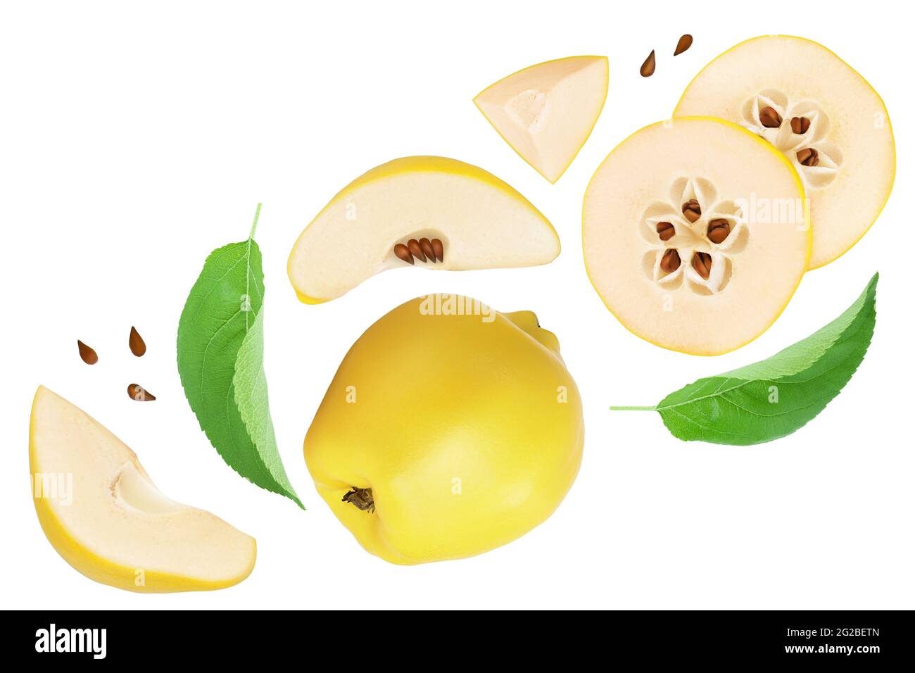 Fresh quince with half and slices isolated on the white background with ...