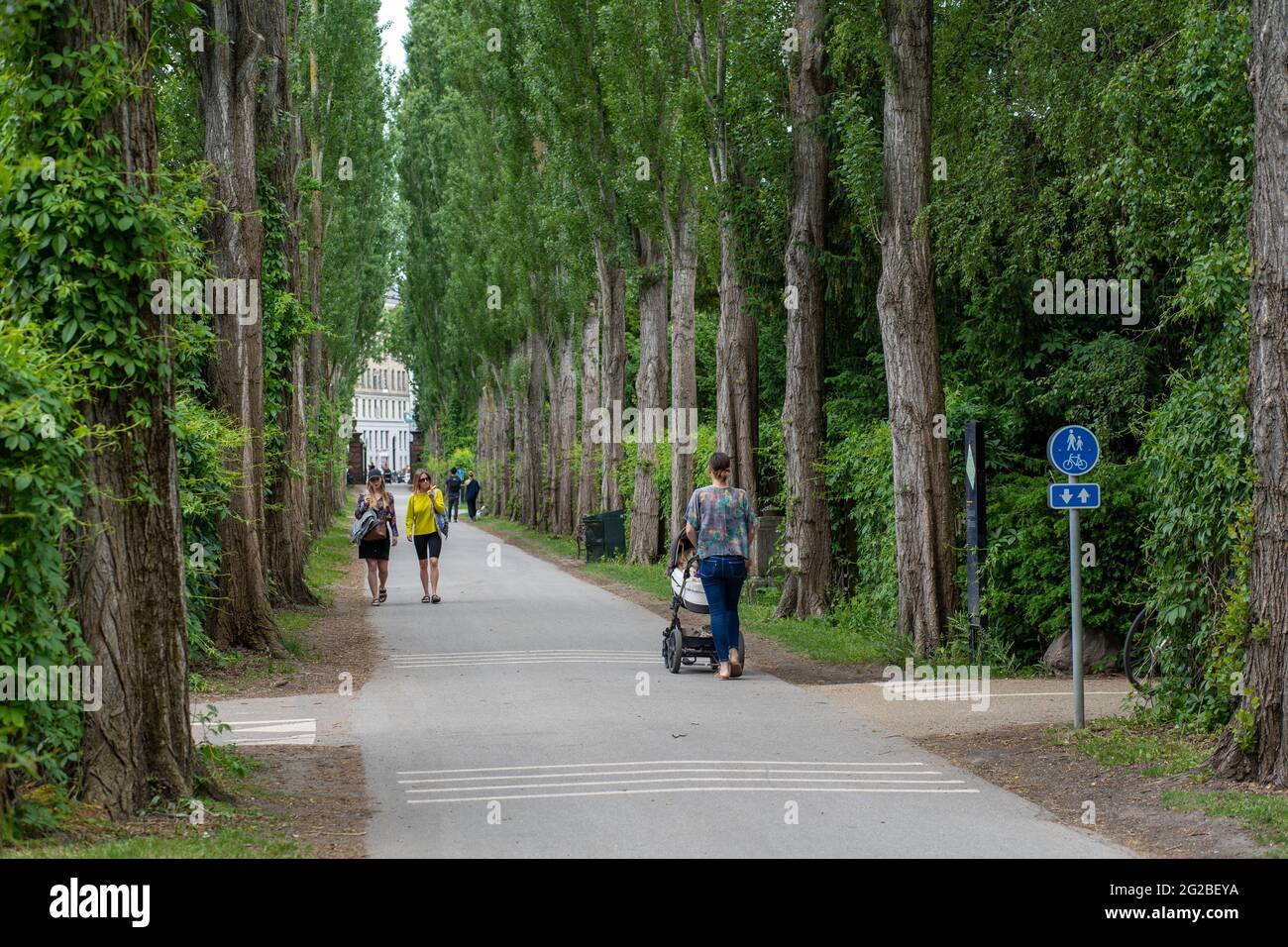 Assistens Cemetery in Copenhagen, Denmark Stock Photo - Alamy