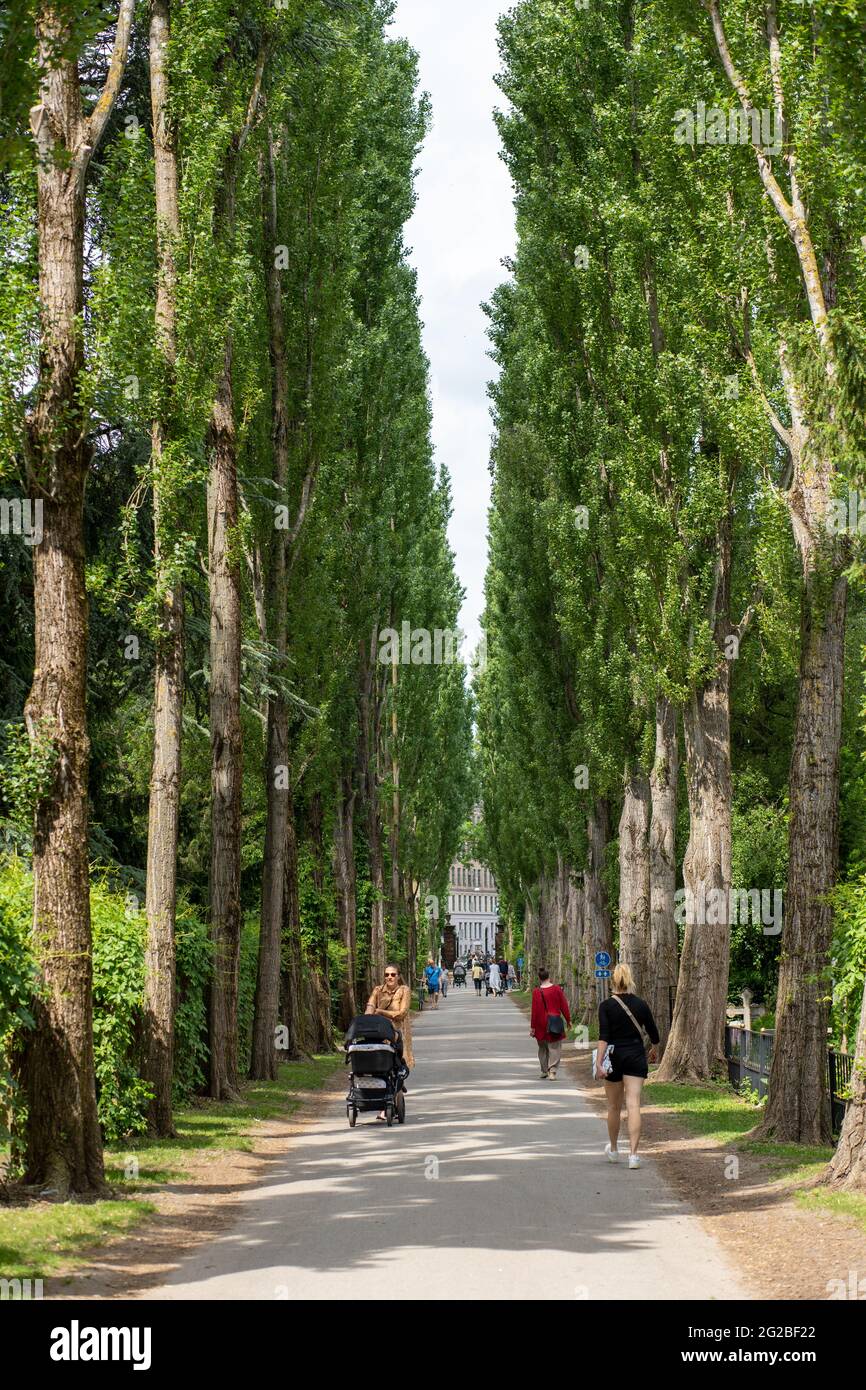 Assistens Cemetery in Copenhagen, Denmark Stock Photo - Alamy