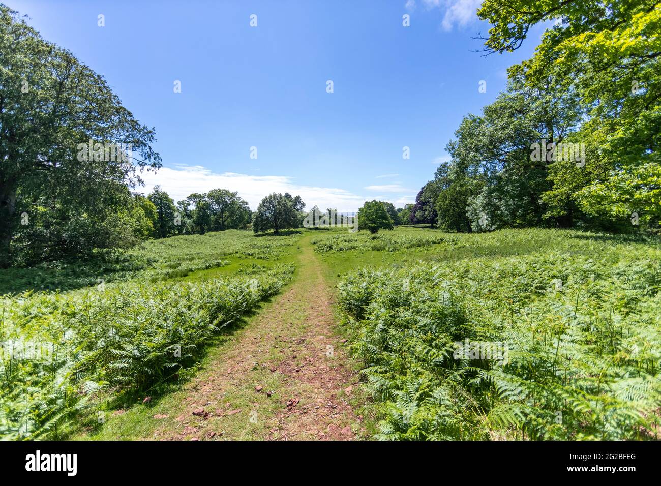 Roman Temple and bath house site at Lydney Camp, Lydney Park ...