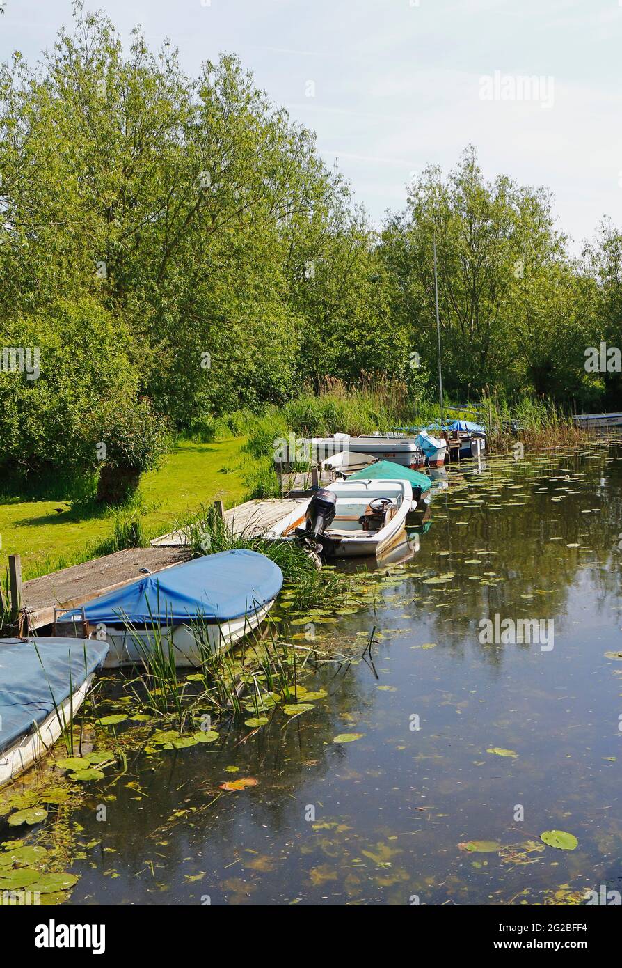 A row of small boats moored in a dyke on the Norfolk Broads in early ...