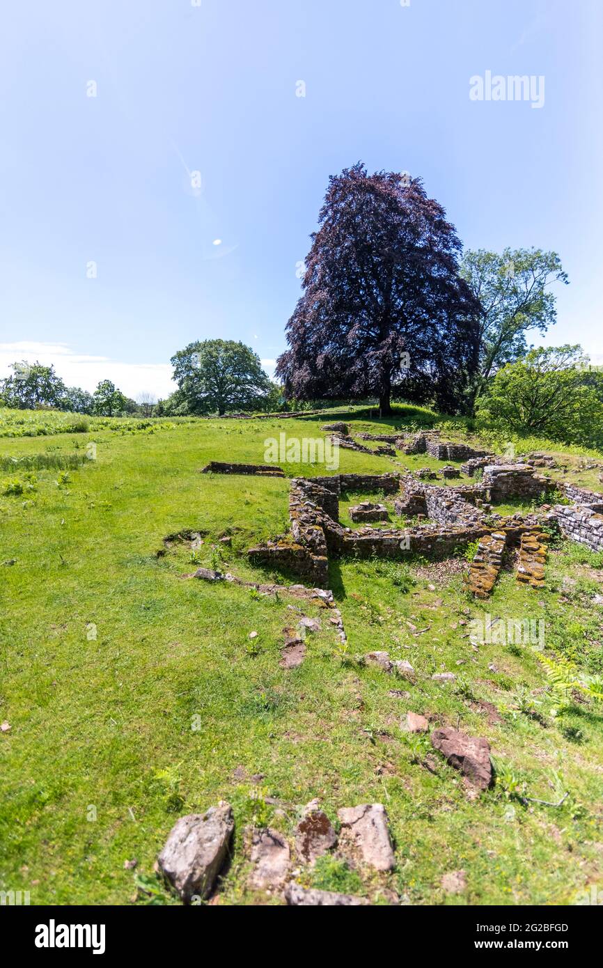 Roman Temple and bath house site at Lydney Camp, Lydney Park ...