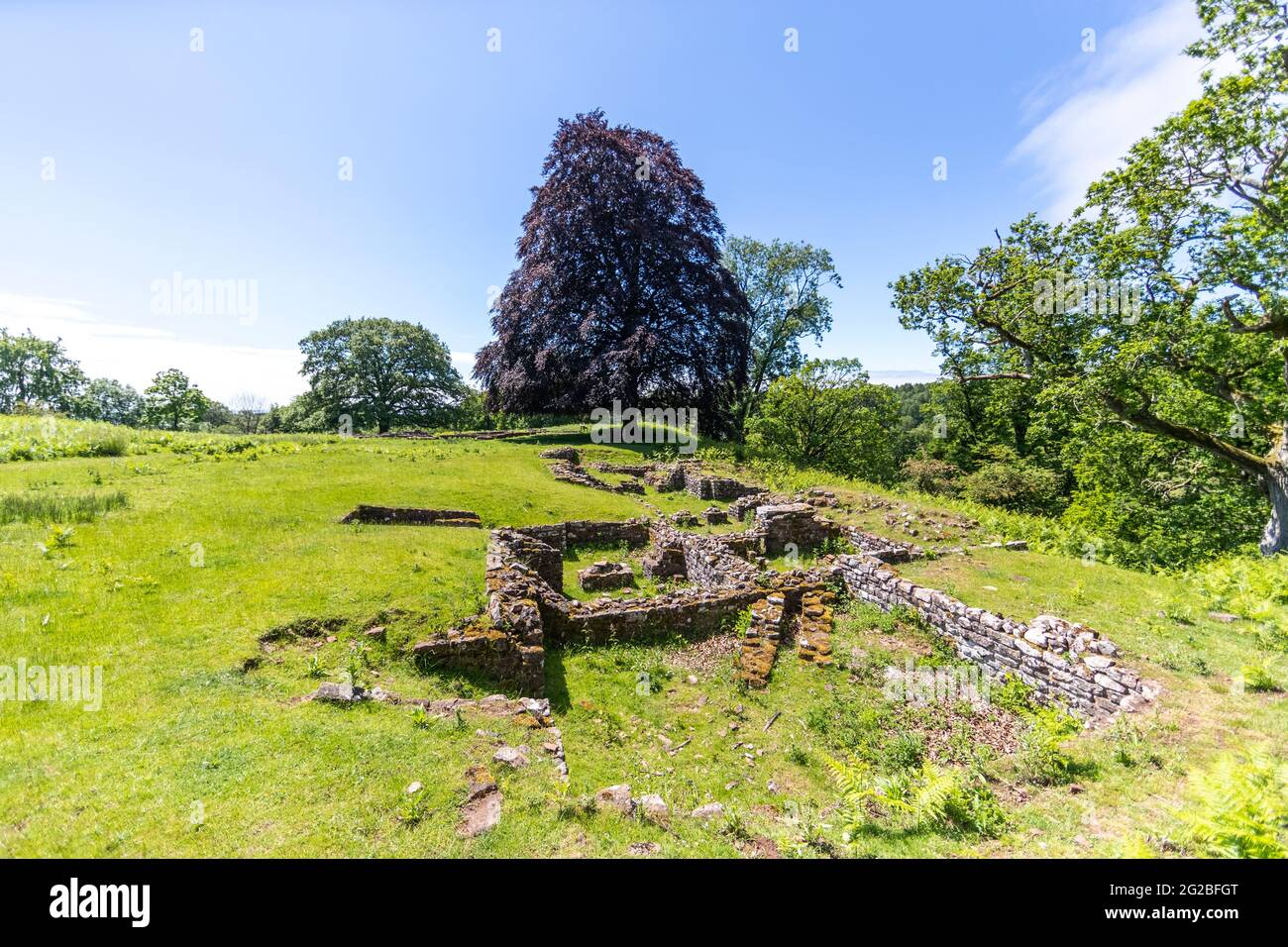 Roman Temple and bath house site at Lydney Camp, Lydney Park ...