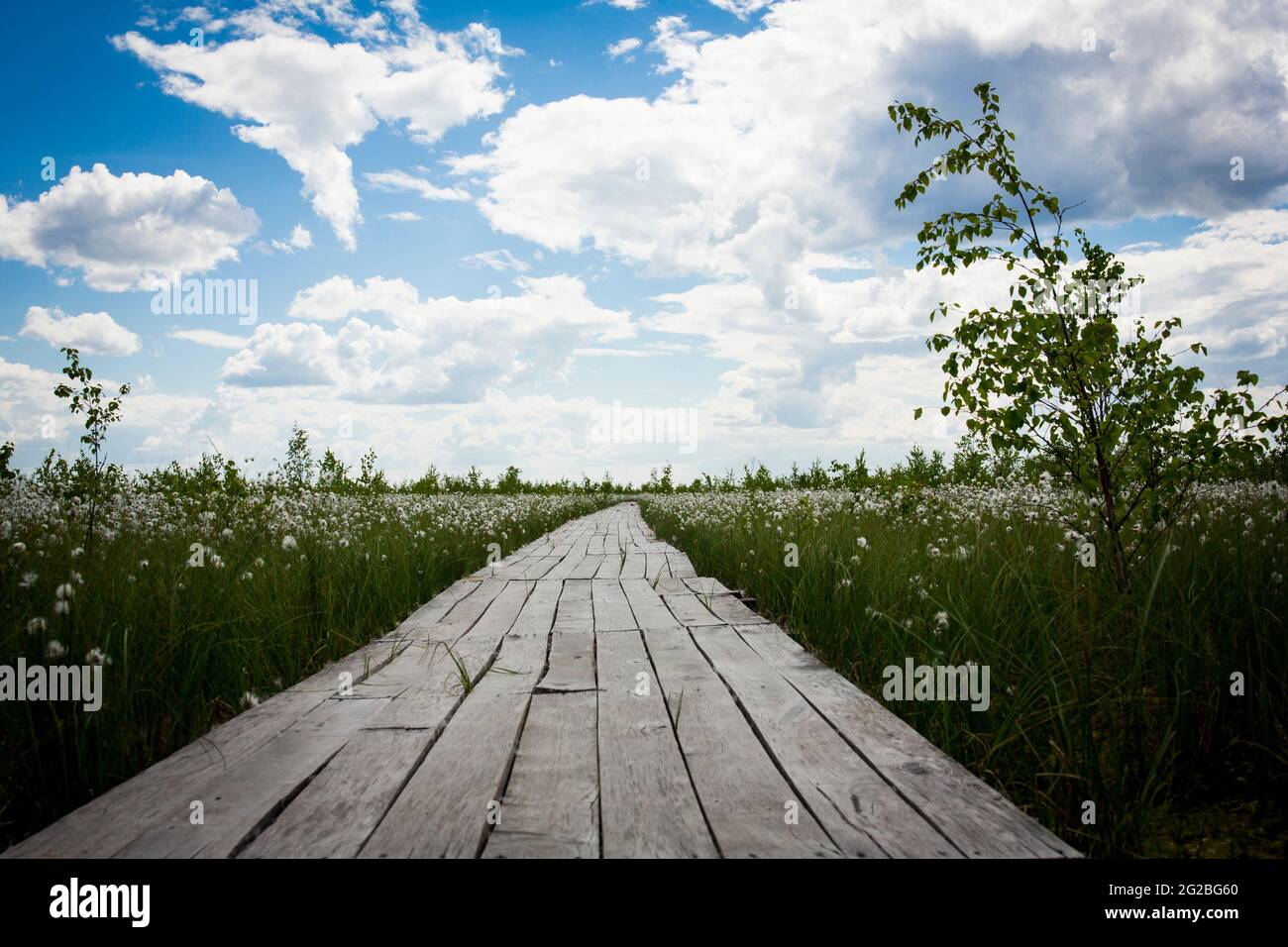 Yelnya hi-res stock photography and images - Alamy