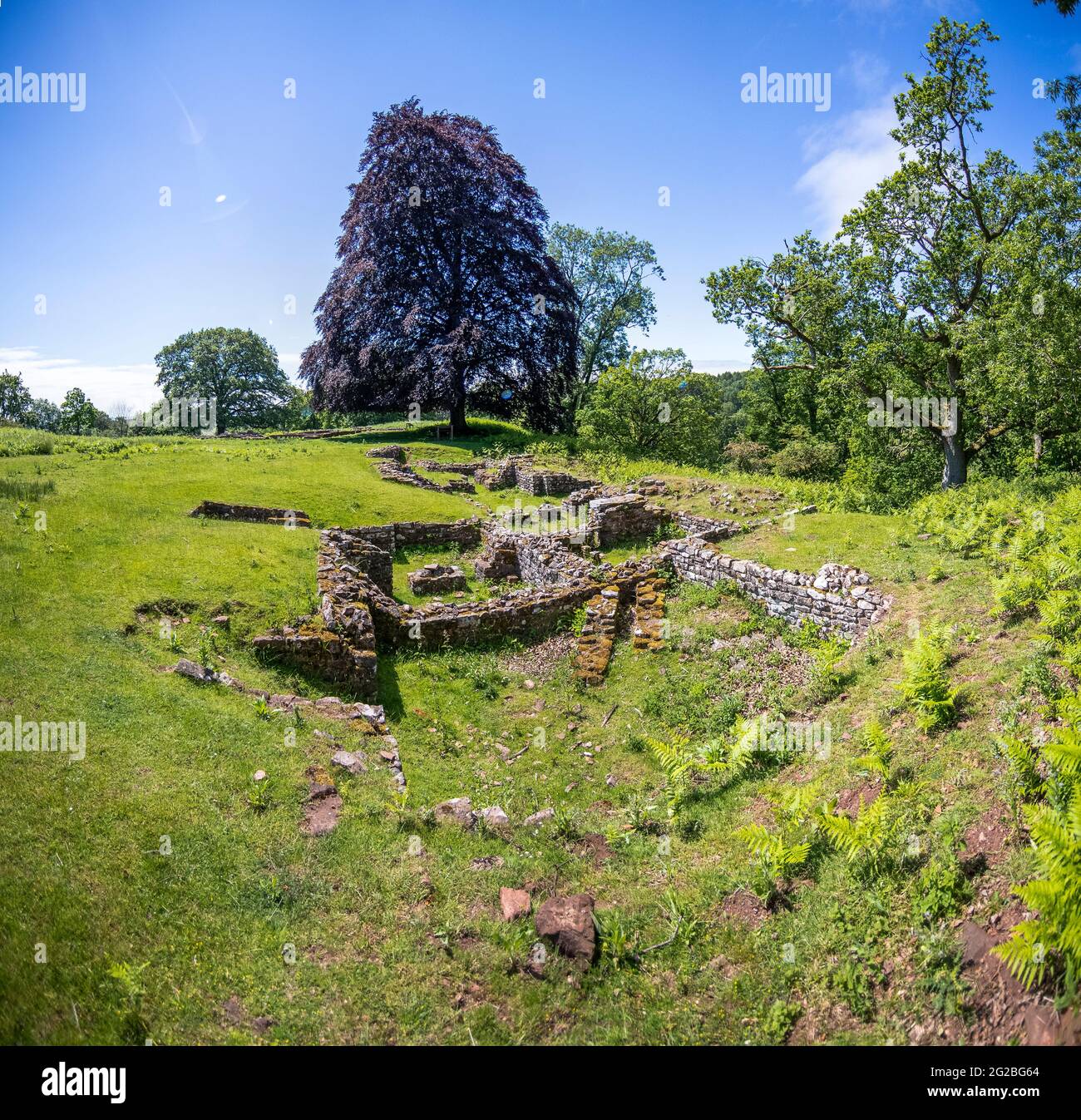 Roman Temple and bath house site at Lydney Camp, Lydney Park ...