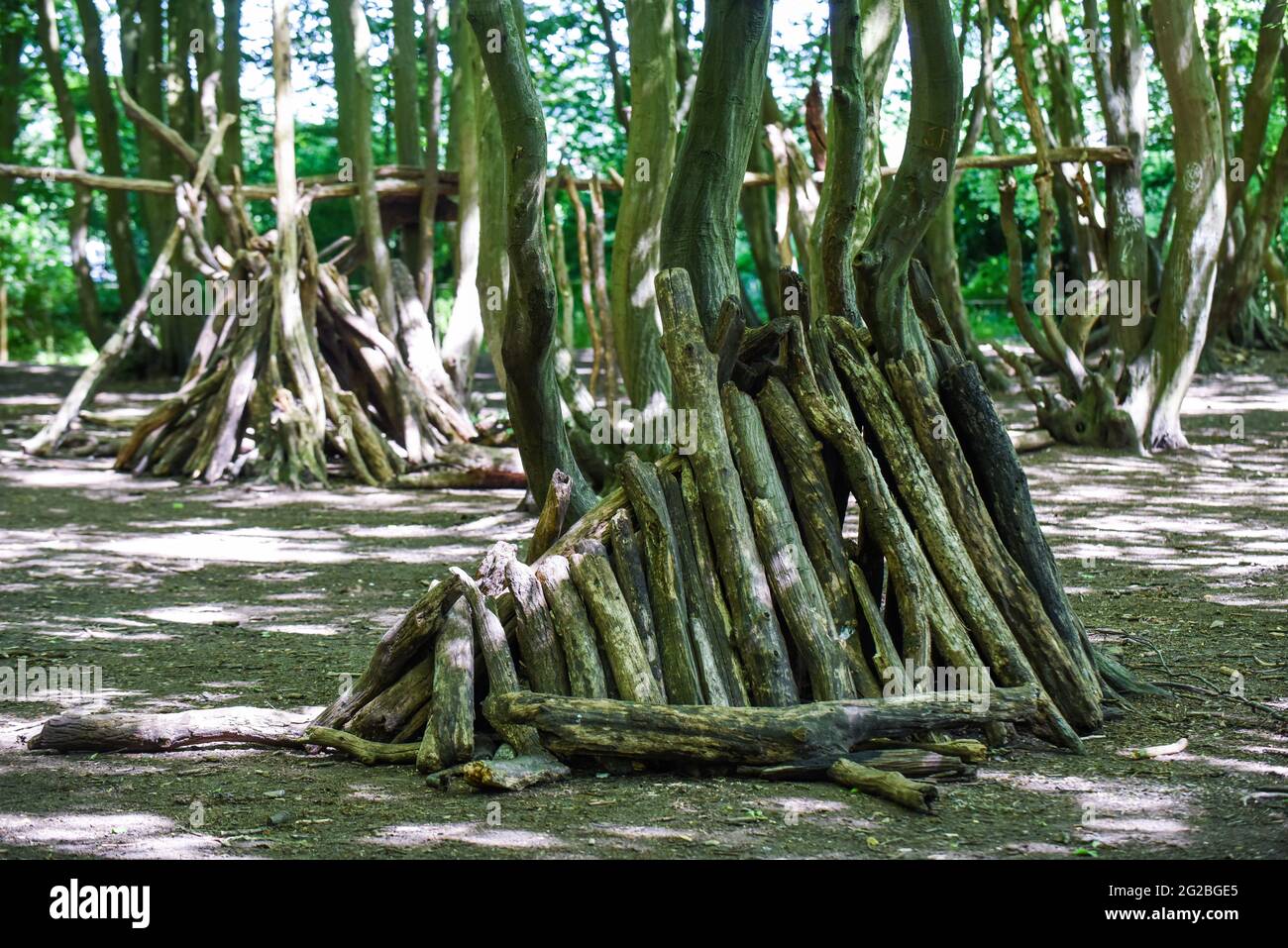 Stick dens and forts in the woods built by children to play in outside ...