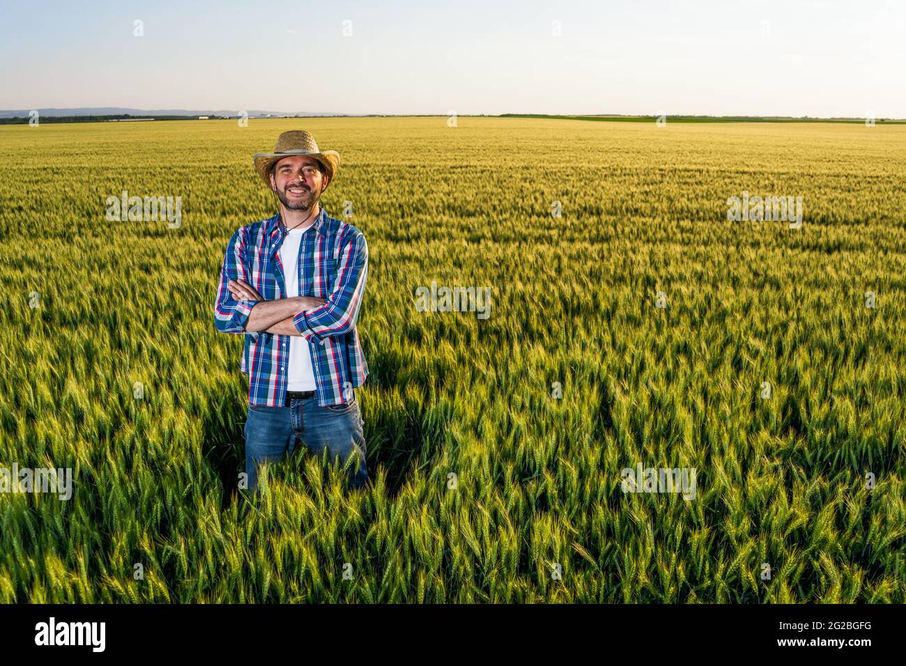 Sowing barley and wheat hi-res stock photography and images - Alamy
