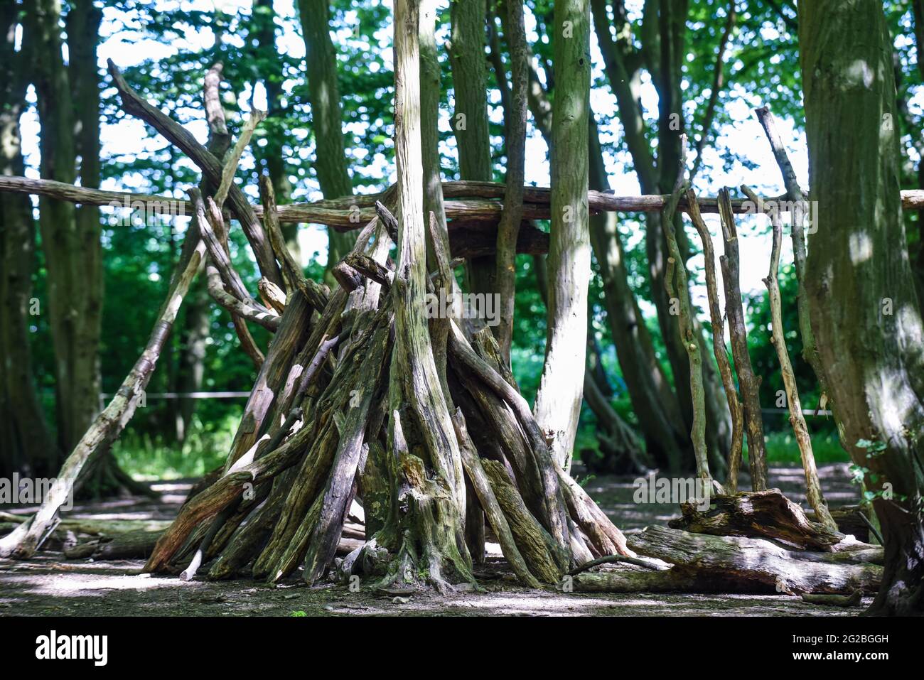 Kids building den in woods hi-res stock photography and images - Alamy