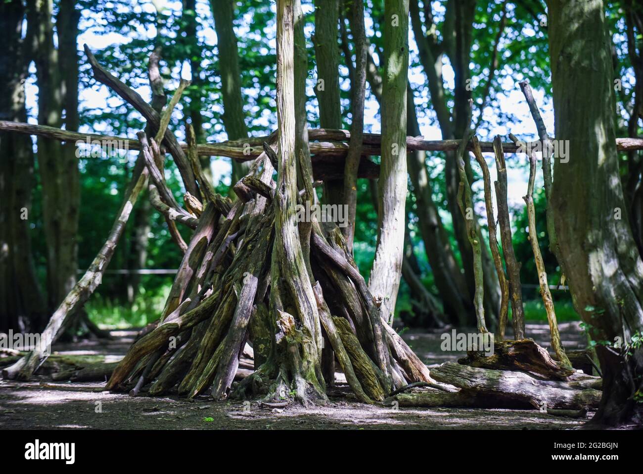 Kids building den in woods hi-res stock photography and images - Alamy