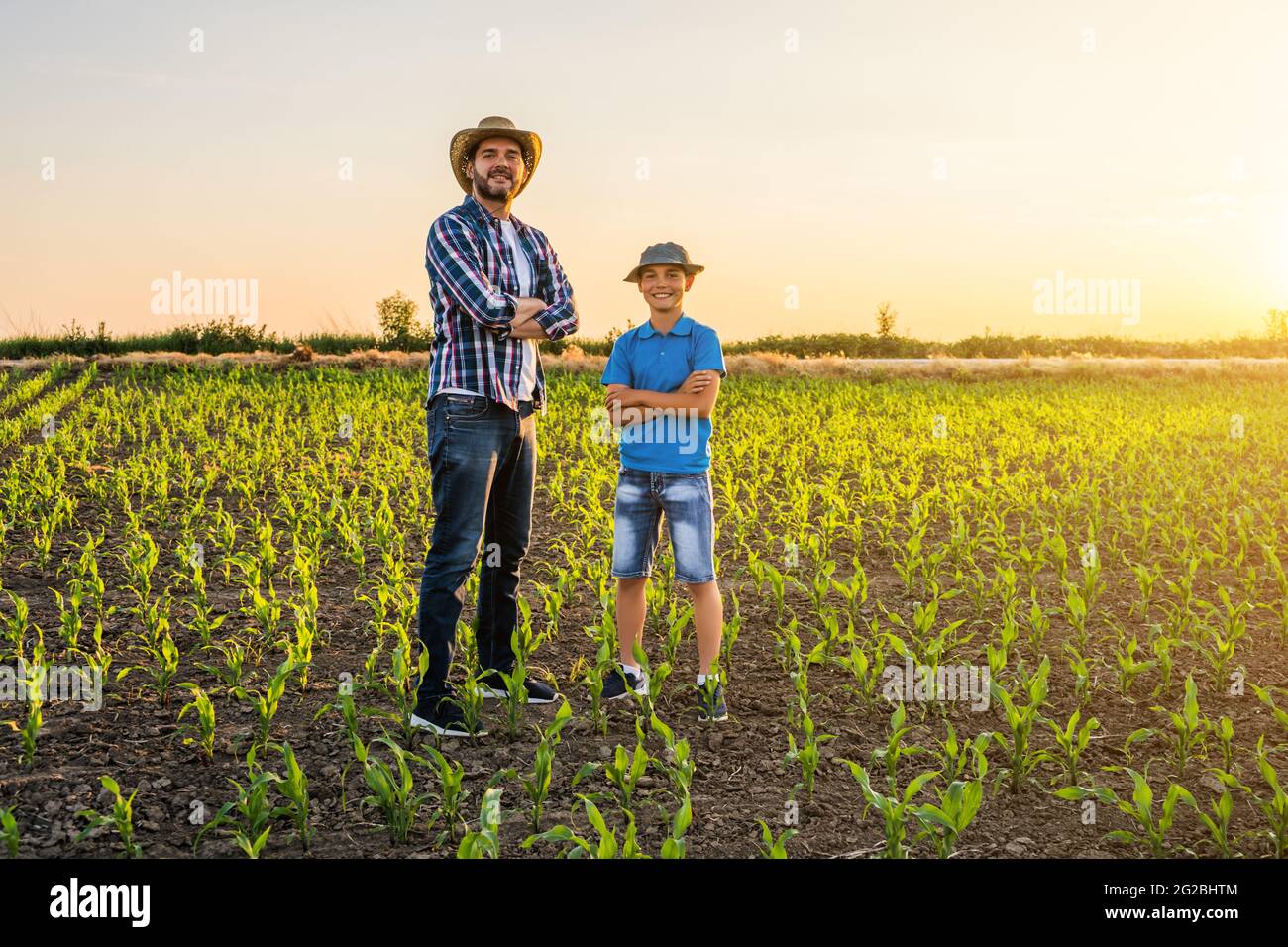 Family farmers are standing in their growing corn field. They are ...