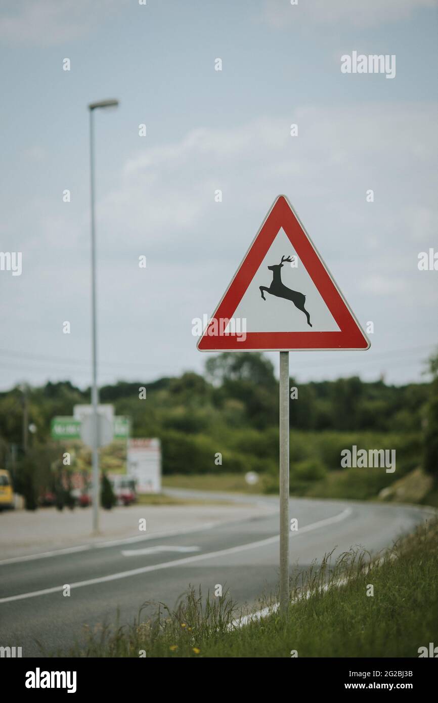 Road safety animals hi-res stock photography and images - Alamy