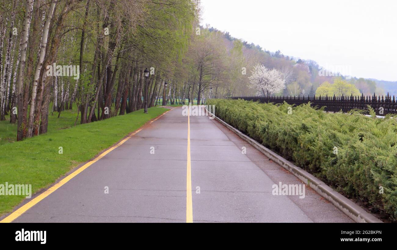 One yellow line hi-res stock photography and images - Alamy