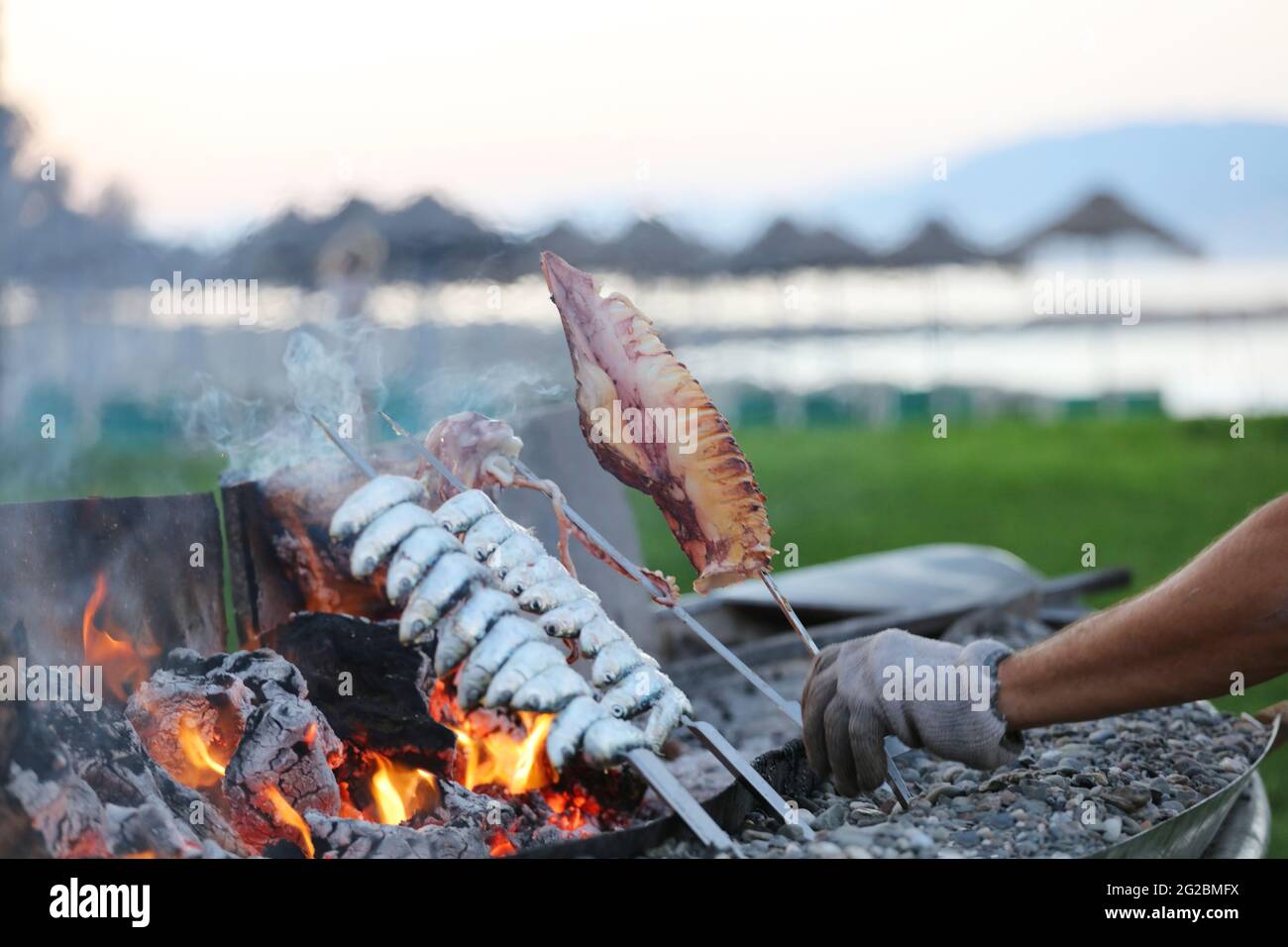 squid in man's hand, fish spit on fire, beach background Stock Photo ...