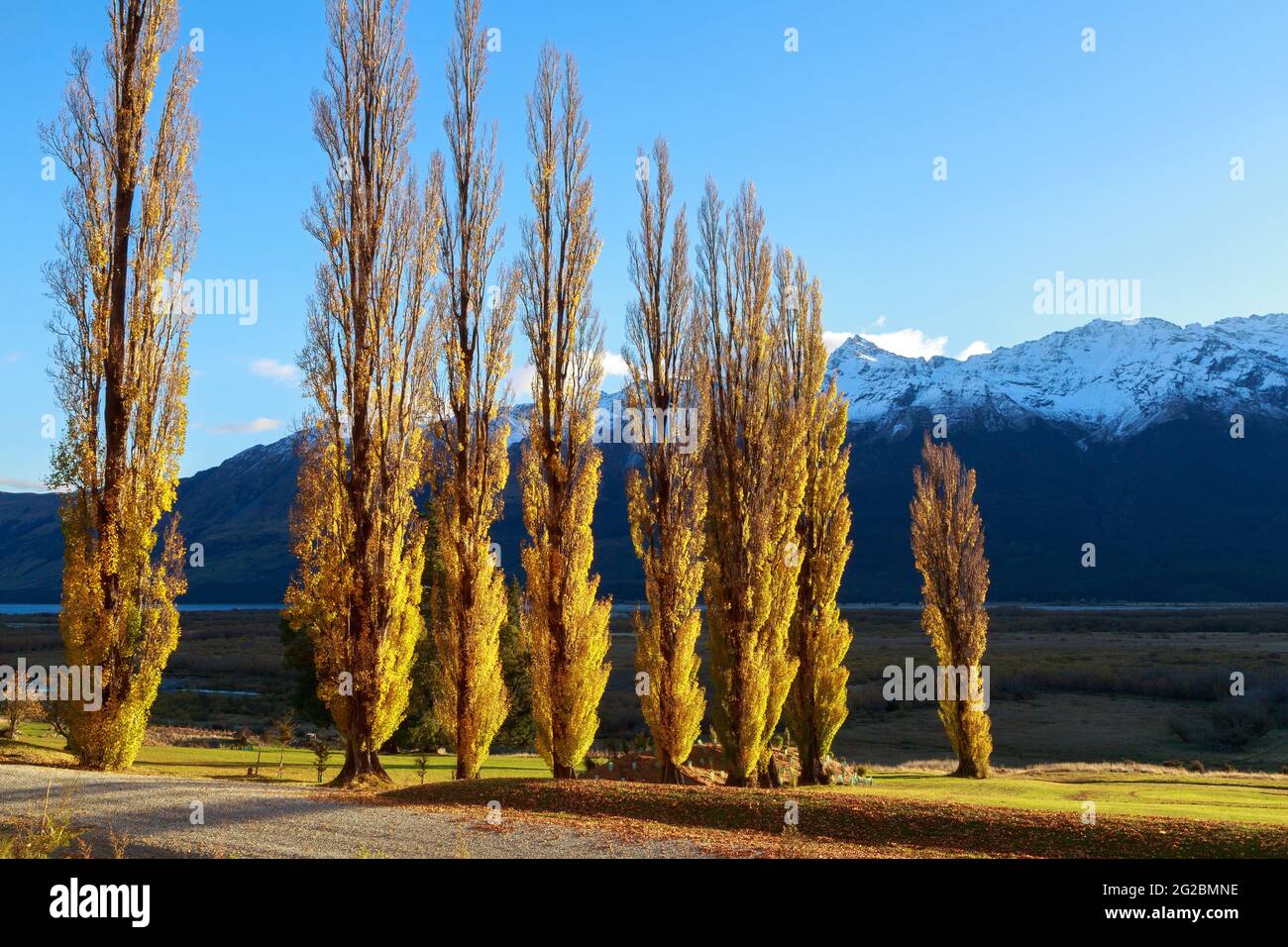 Landscape with trees and a mountain in the background hi-res stock ...