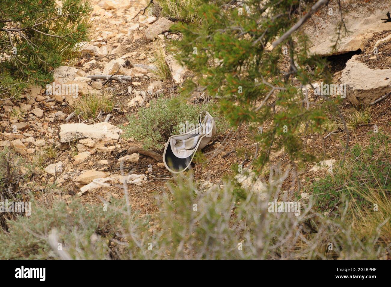 Parque nacional grand canyon hi-res stock photography and images - Alamy