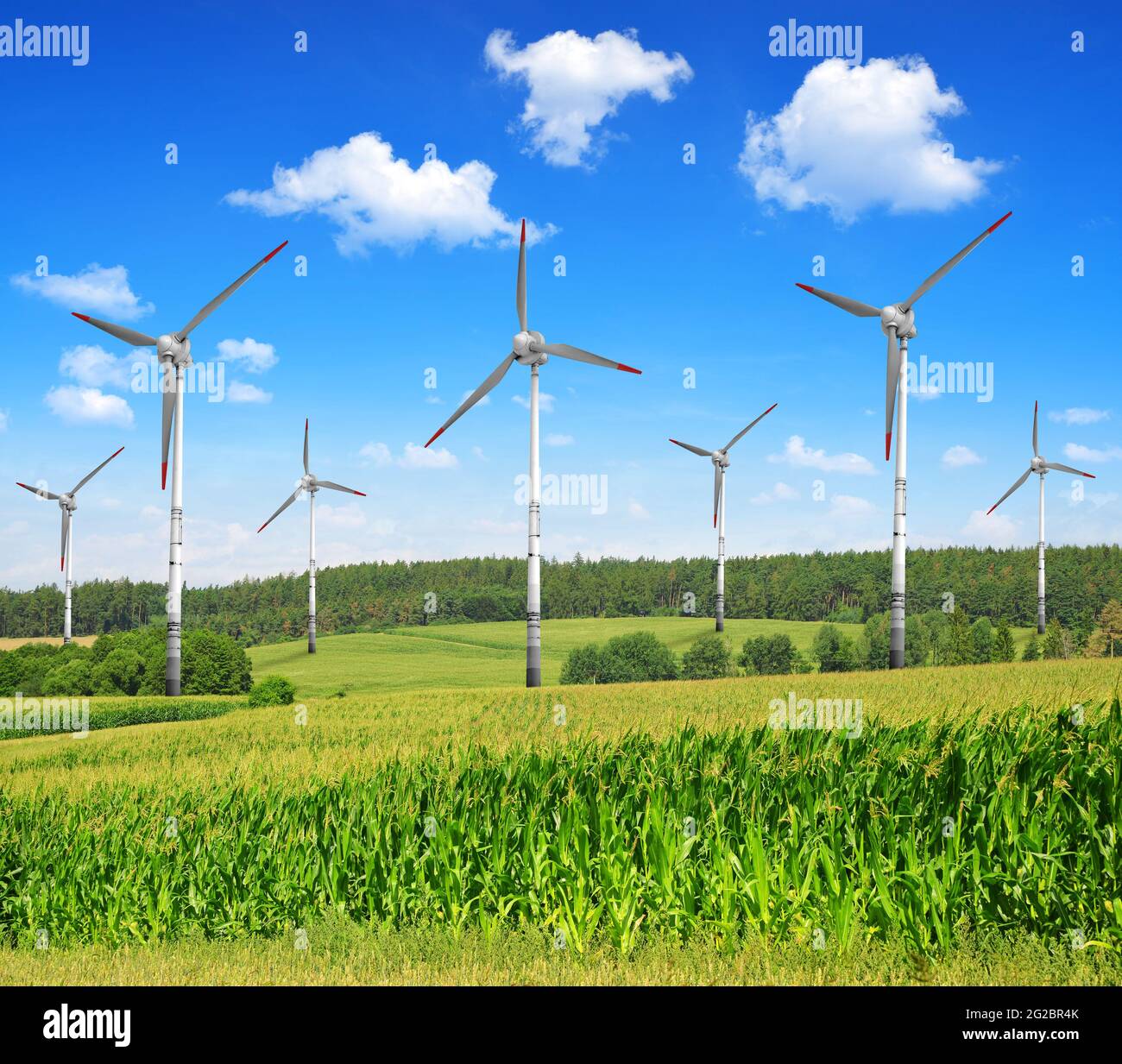 A green field of corn with wind turbines Stock Photo - Alamy