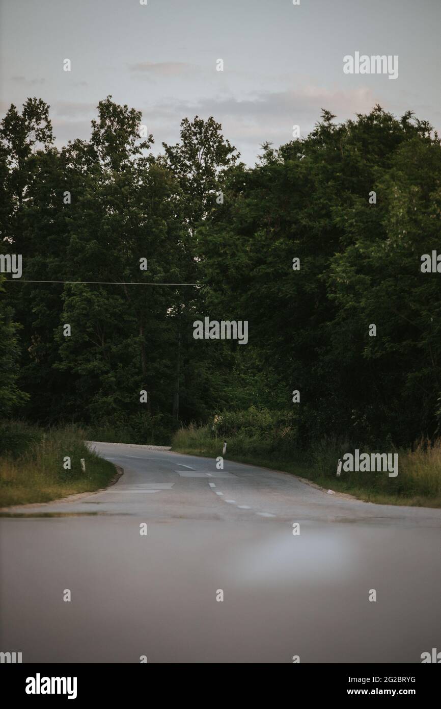 Vertical shot of an empty road surrounded by trees Stock Photo - Alamy