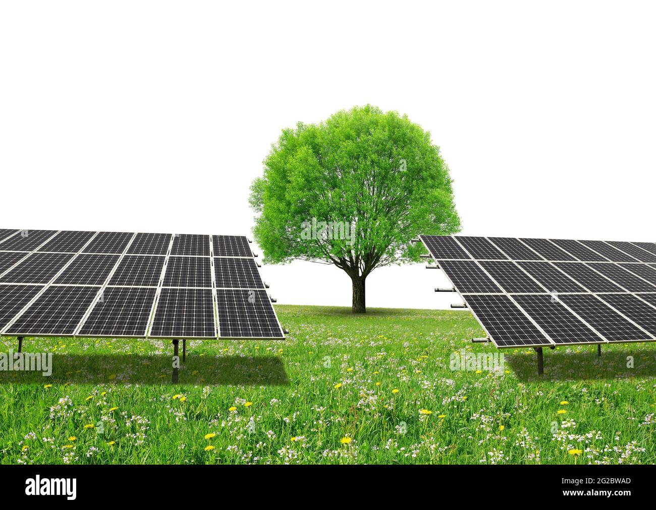 Solar energy panels and tree on meadow with copy space. Sustainable ...