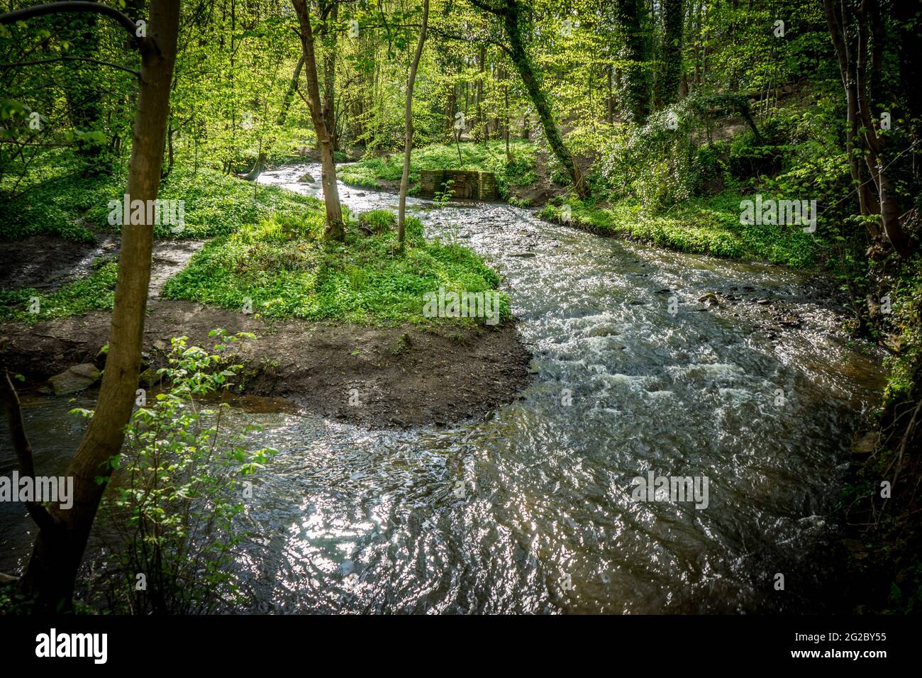 The Flowing Porter Brook, Sheffield, South Yorkshire, UK Stock Photo ...